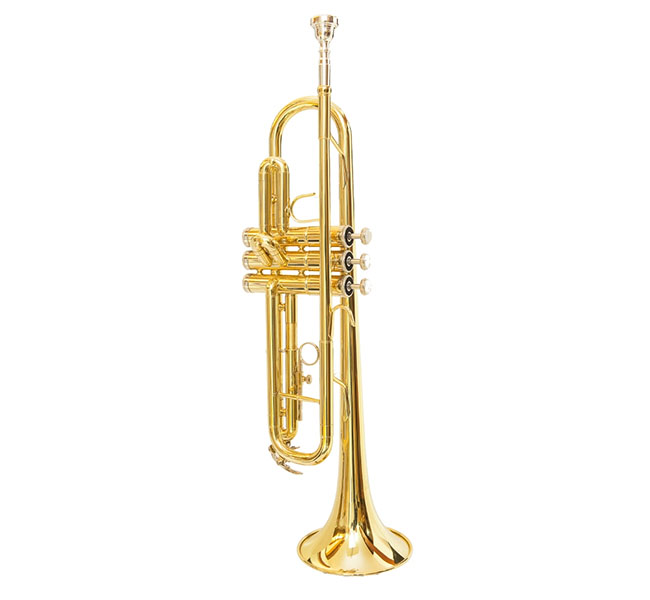 JINBAO JBTR 300L - Euromúsica